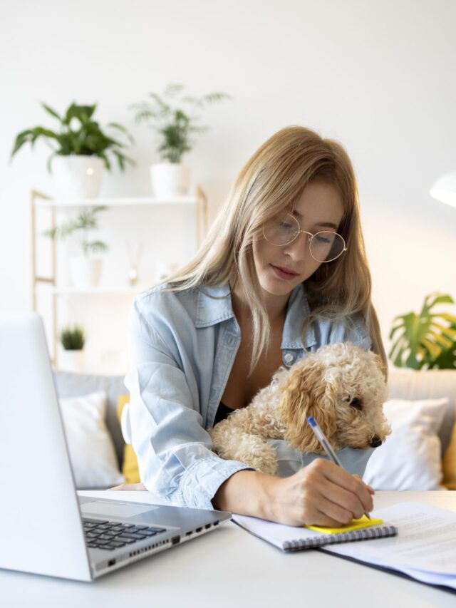 Para 8 de cada 10 jóvenes, el éxito profesional es tener un trabajo ...